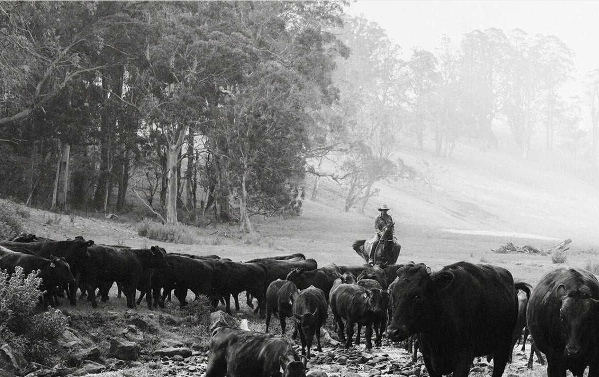 Capital Meat Imports