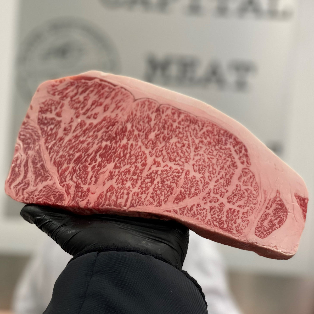 Contact Us – Capital Meat Imports